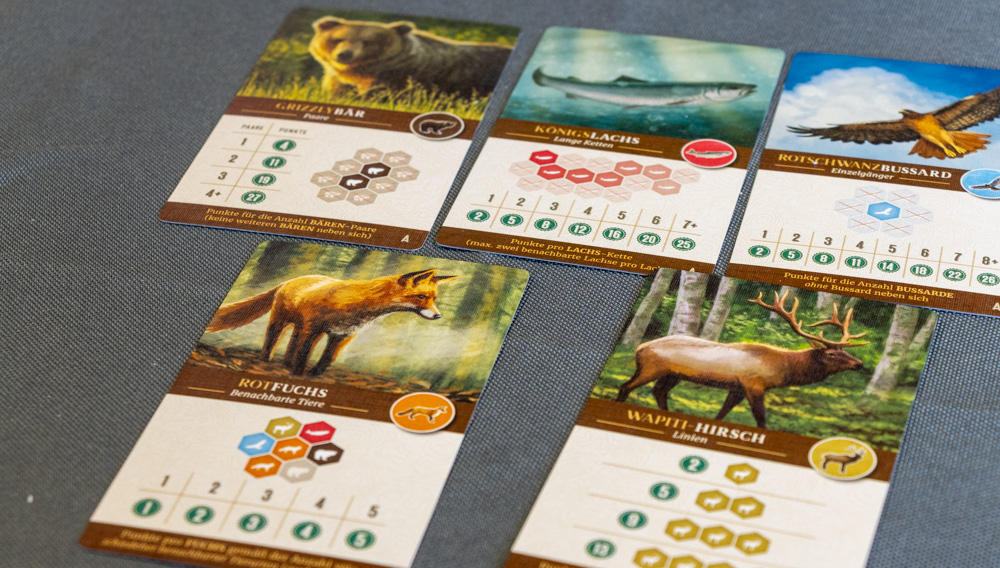 Review: Cascadia - Brettspiel mit Landschaft